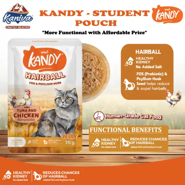 Kandy Student pouch Hairball - Tuna And Chicken - Kaniva Pet Food BD
