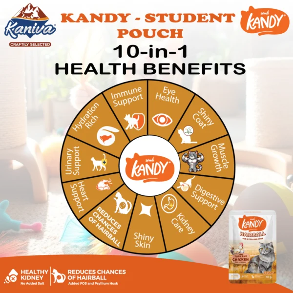 Kandy Student pouch Hairball - Tuna And Chicken - Kaniva Pet Food BD