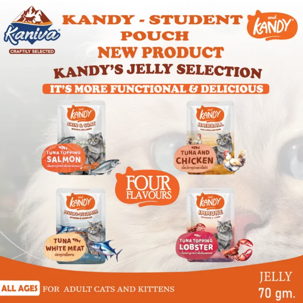 Kandy Student pouch Hairball - Tuna And Chicken - Kaniva Pet Food BD