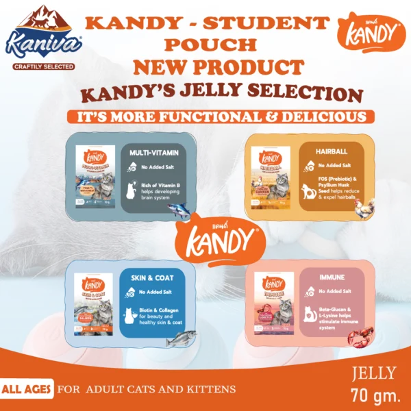 Kandy Student pouch Hairball - Tuna And Chicken - Kaniva Pet Food BD